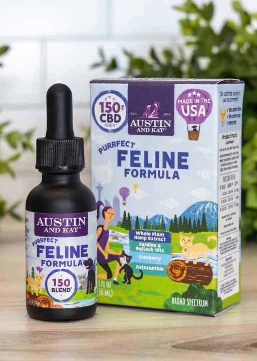 Best CBD Products for Cats: Our Top 3 Picks - Weedime