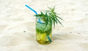 5 Best Delta-9 Drinks for a Calm and Smooth Buzz - Weedime